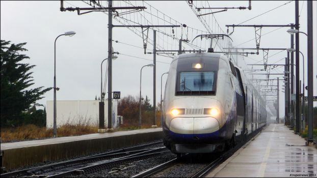 La LGV SEA sur la bonne voie - France Média Business