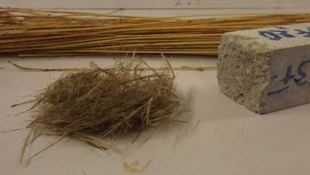 Vers un béton en fibres de lin? - Construction Cayola